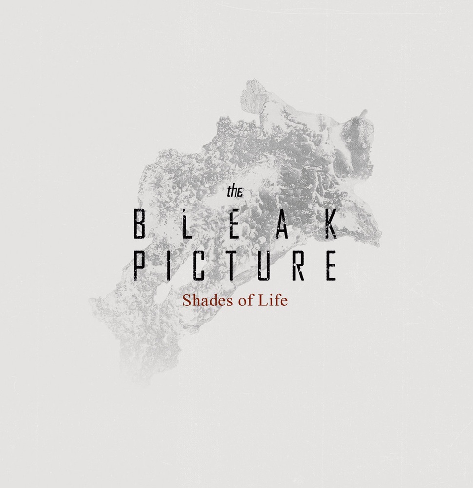 The Bleak Picture - Shades Of Life